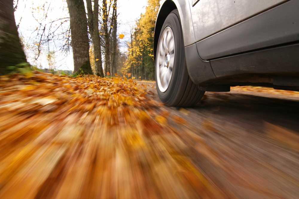 Seasonal Maintenance Solutions for Transitioning Your Car Into Fall ...